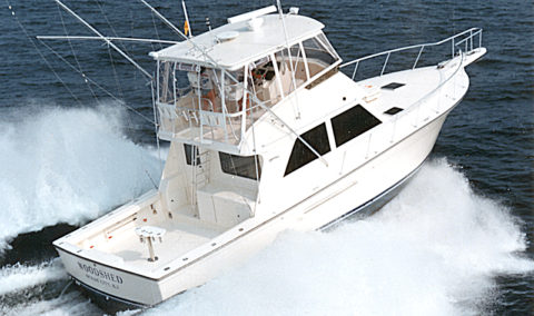 Sport Fishing in New Jersey - About Us - Benchmark Sportfishing